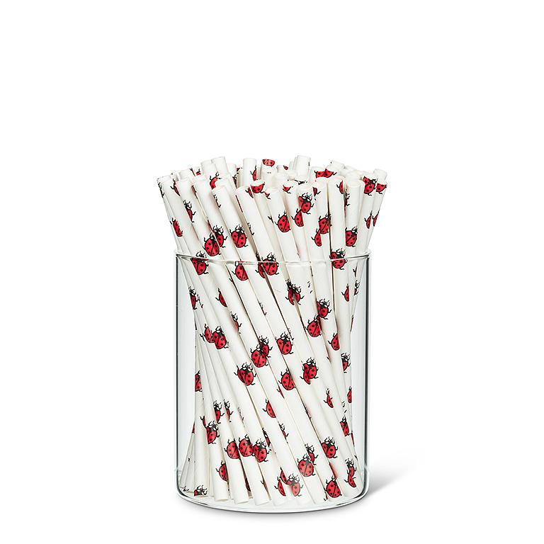 LADYBUG Paper Cocktail Straws – Sorella Boutique Gourmande